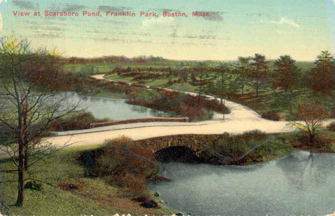 View at Scarboro Pond - Dorchester Atheneum