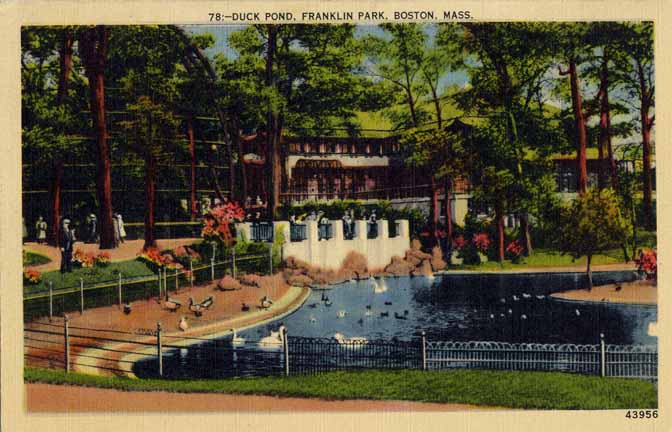 Duck Pond, Franklin Park - Dorchester Atheneum