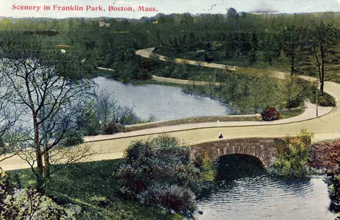 Scenery in Franklin Park - Dorchester Atheneum